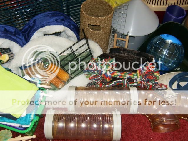 SW England - Rat starter kit- large cage and huge amount of accessories ...