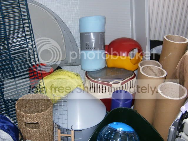 SW England - Rat starter kit- large cage and huge amount of accessories ...
