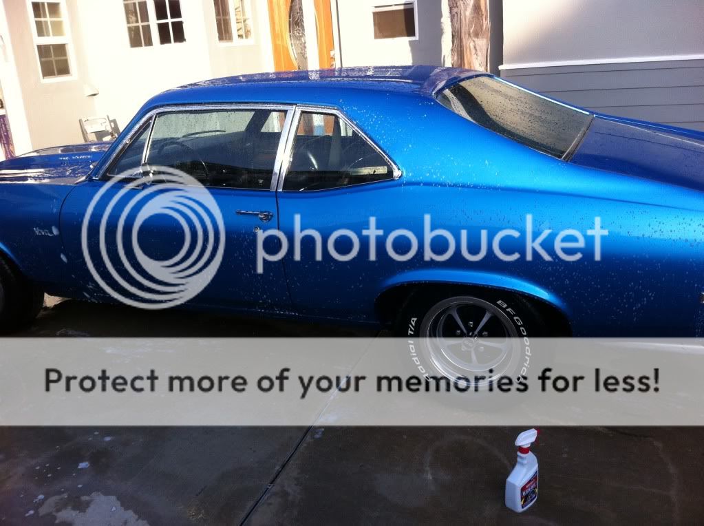 blue paint | Chevy Nova Forum