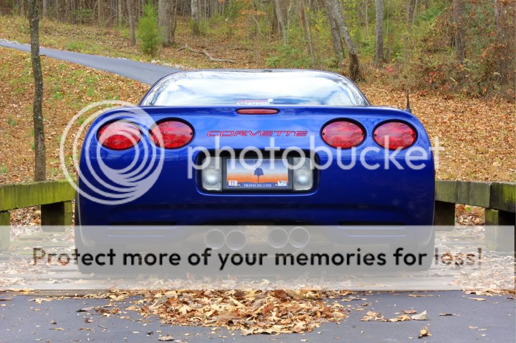 Z06 Post your C5 Z06 pictures!!! - Page 129 - CorvetteForum - Chevrolet ...